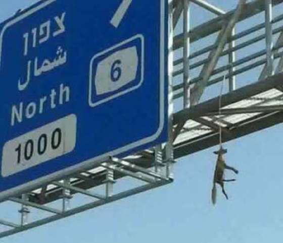 המקרה החמור מצטרף לתמונה המזעזעת שפורסמה אתמול ברשתות החברתיות. בתמונה ...