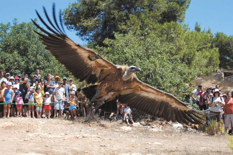 צילום: בן רוזנברג