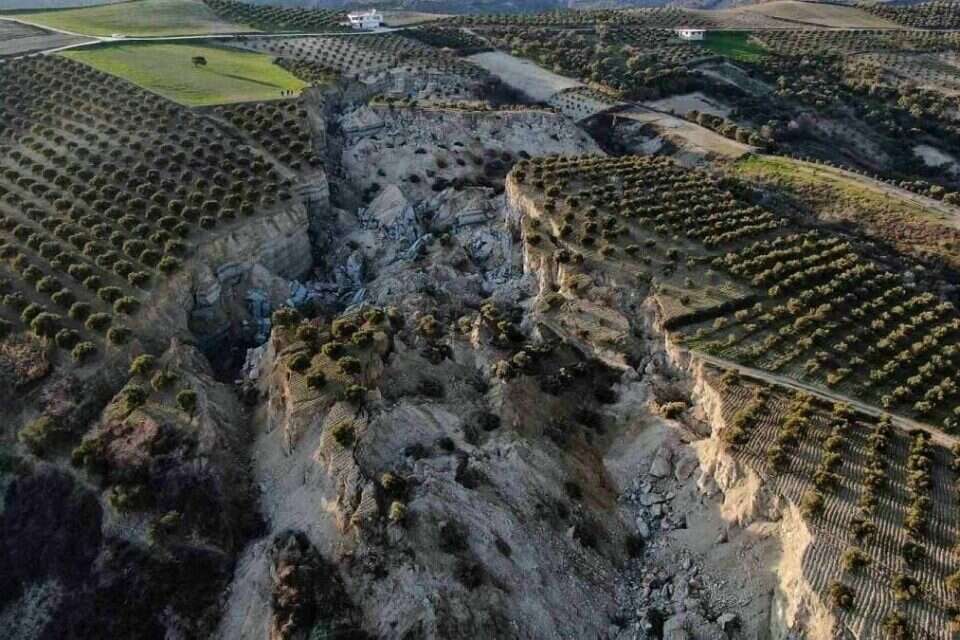 כשהאדמה נקרעה: מטע זיתים התבקע לשניים מעוצמת הרעידה בטורקיה | ישראל היום